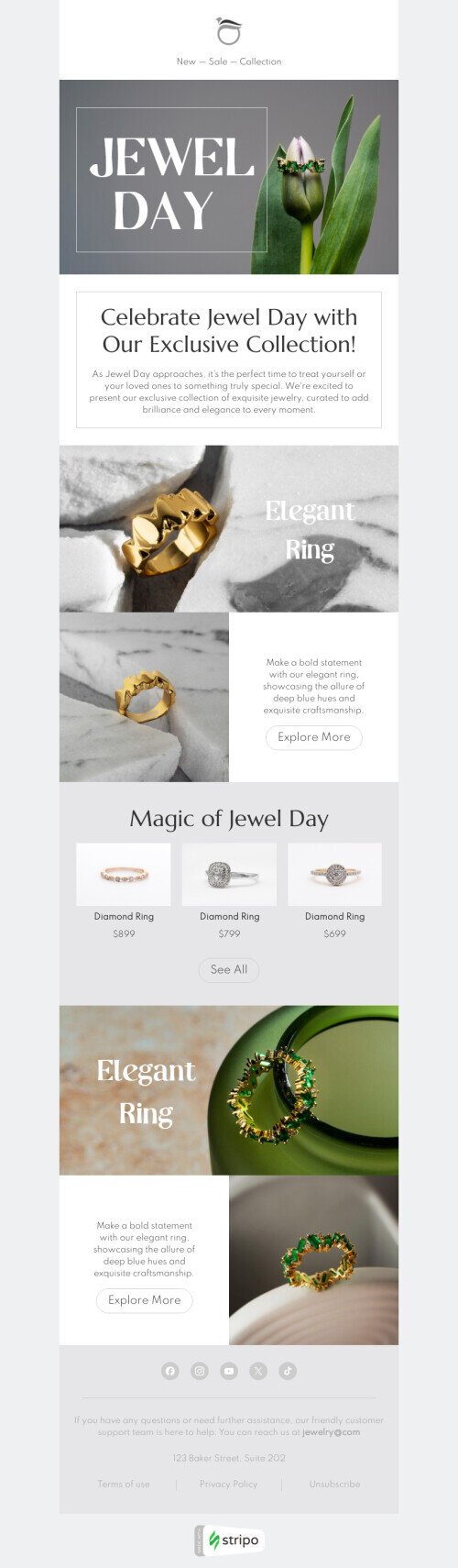 22 Jewelry Email Templates 📭 | Free Jewelry HTML Email Template ...
