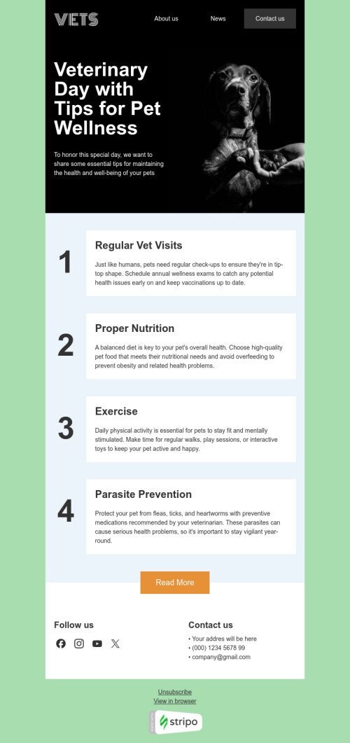 Tips for pet wellness Email Template by :full_name — Stripo.email