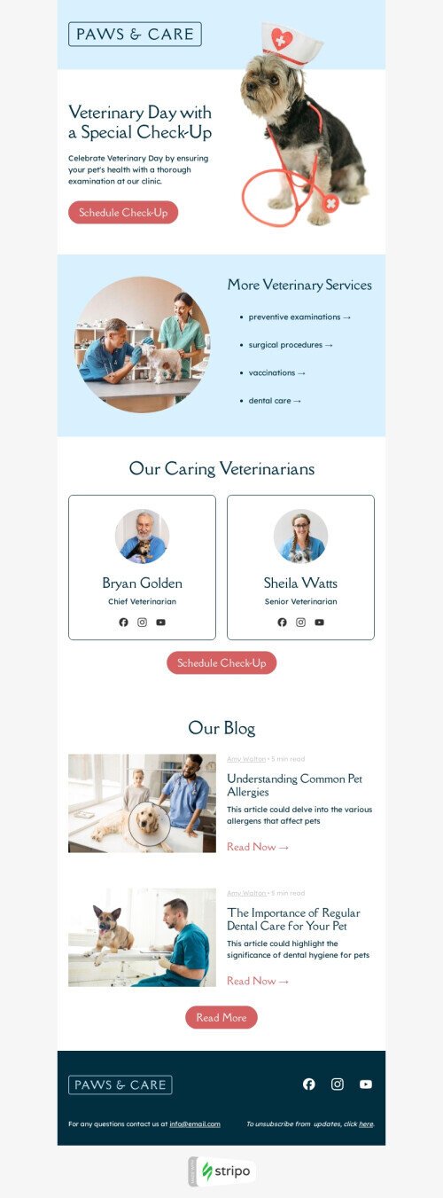 35 Pets Email Templates 📭 | Free Pets HTML Email Template — Stripo.email ️